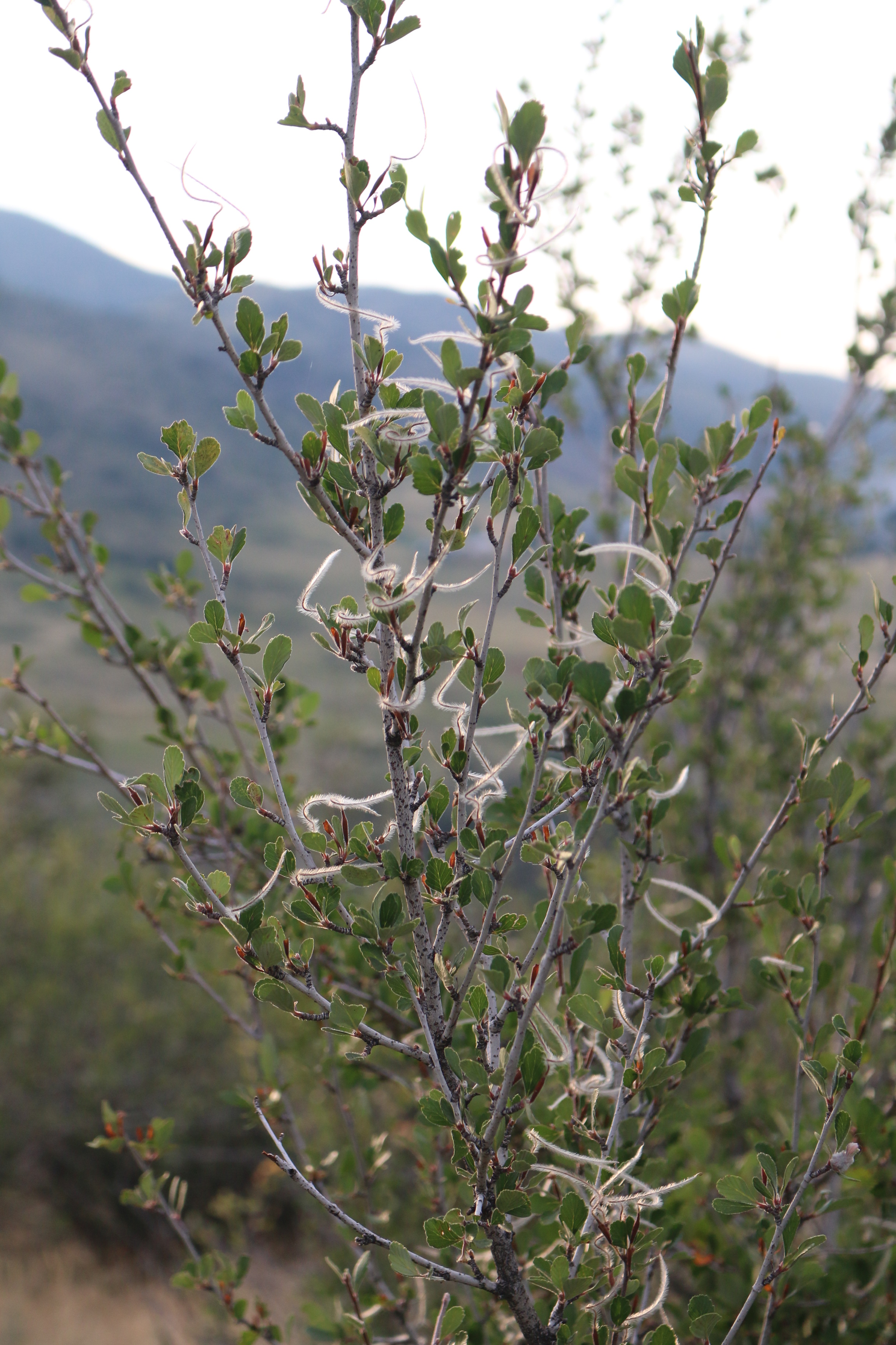 Right Priorities and Encouragement from God for Expanding His Kingdom ...